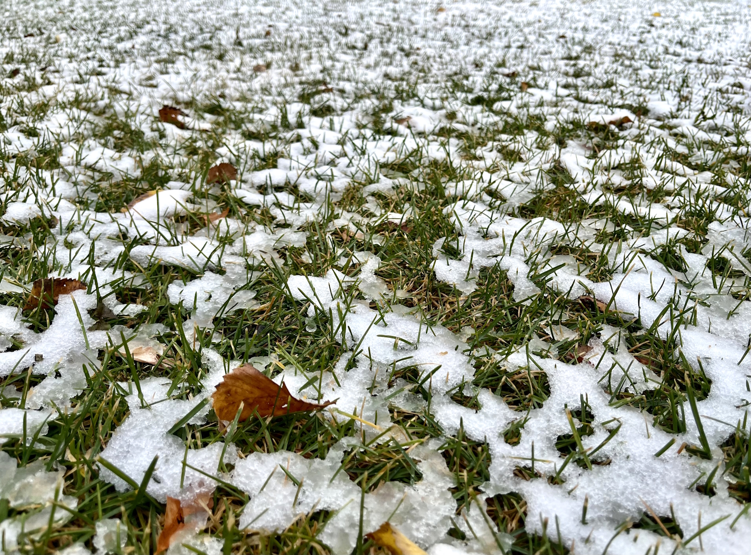 Southwest Saskatchewan sees first snowfall of the season ...